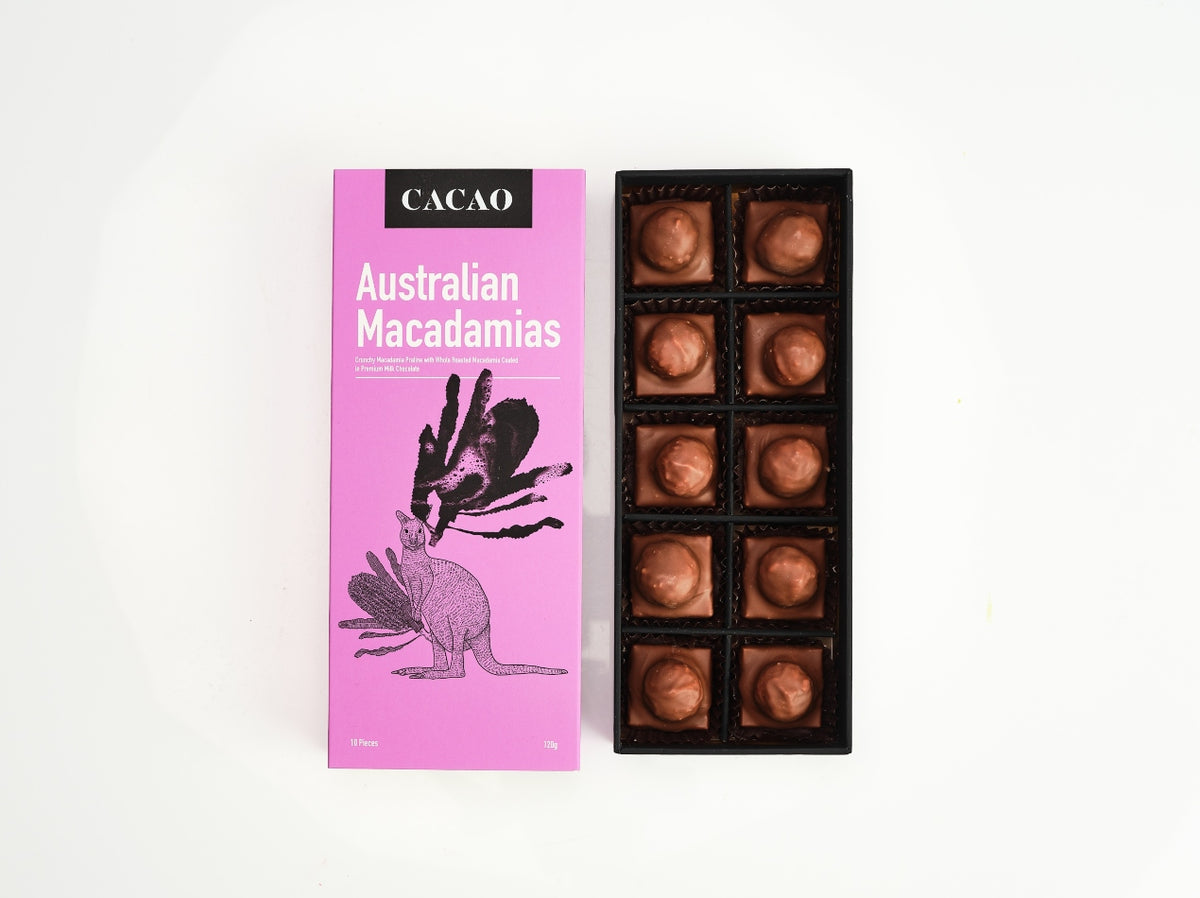 Macadamia Pralines in Milk Chocolate - 10 piece box | CACAO Handmade ...